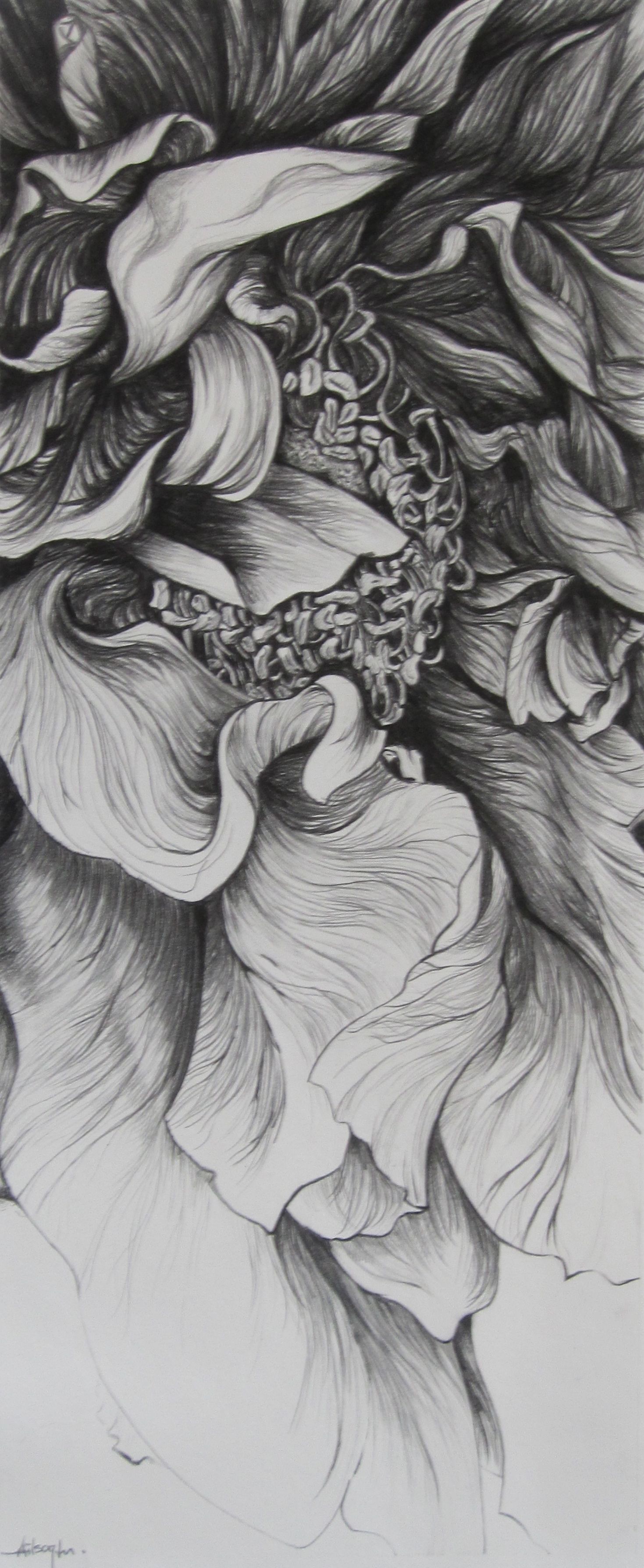 Studio Art at College of San Mateo - Student Work Gallery