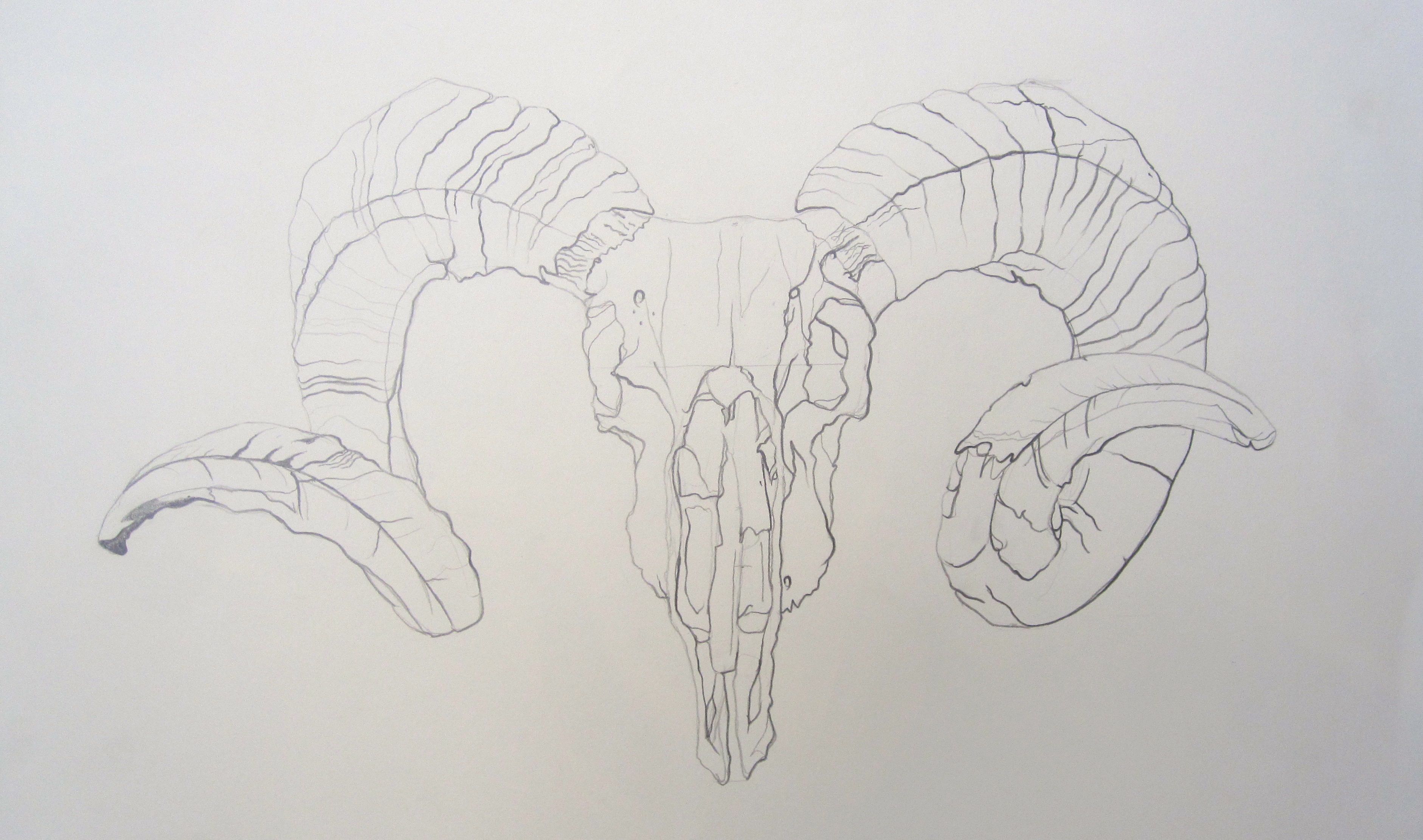 Studio Art at College of San Mateo - Student Work Gallery