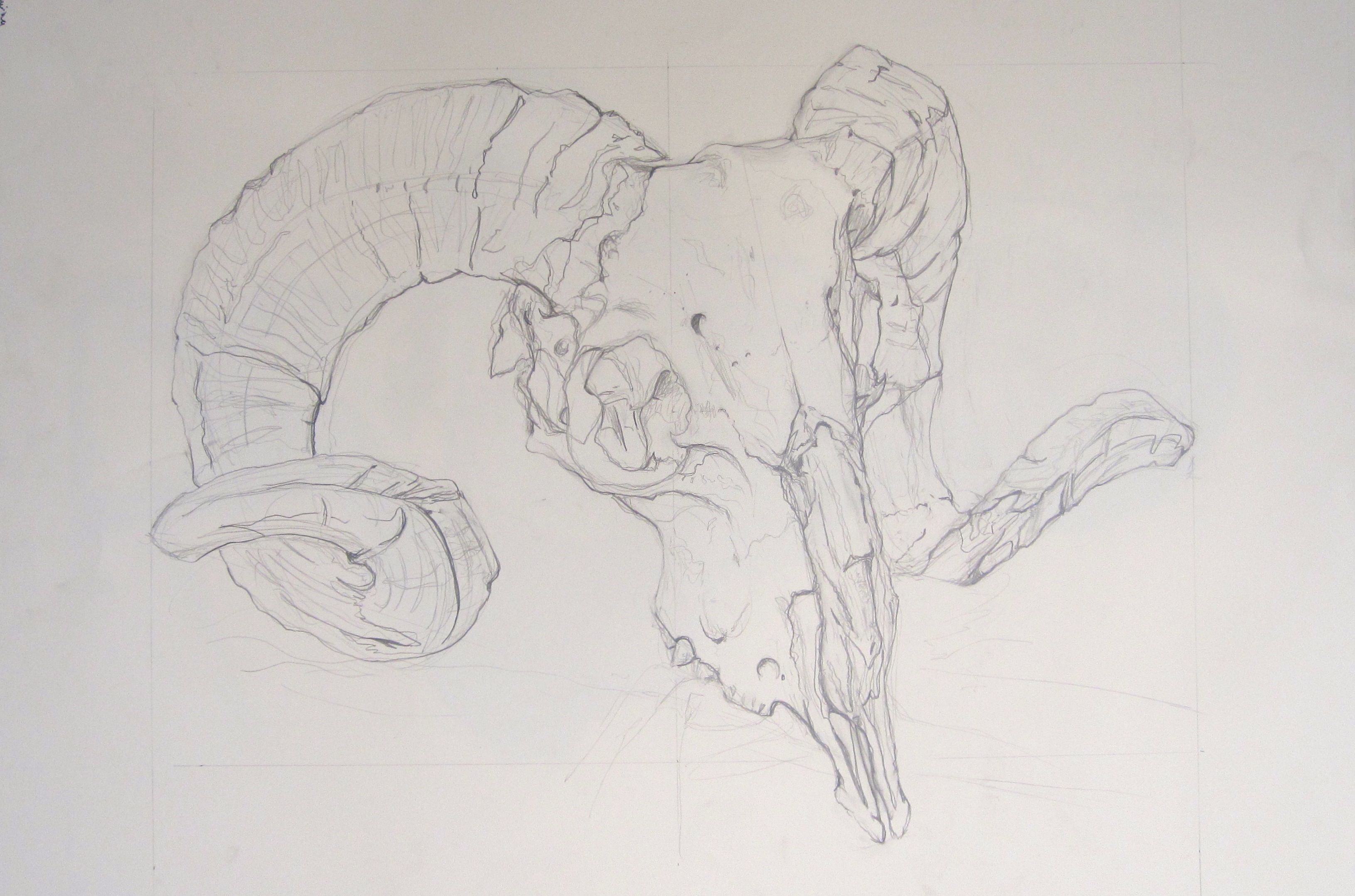 Studio Art at College of San Mateo - Student Work Gallery