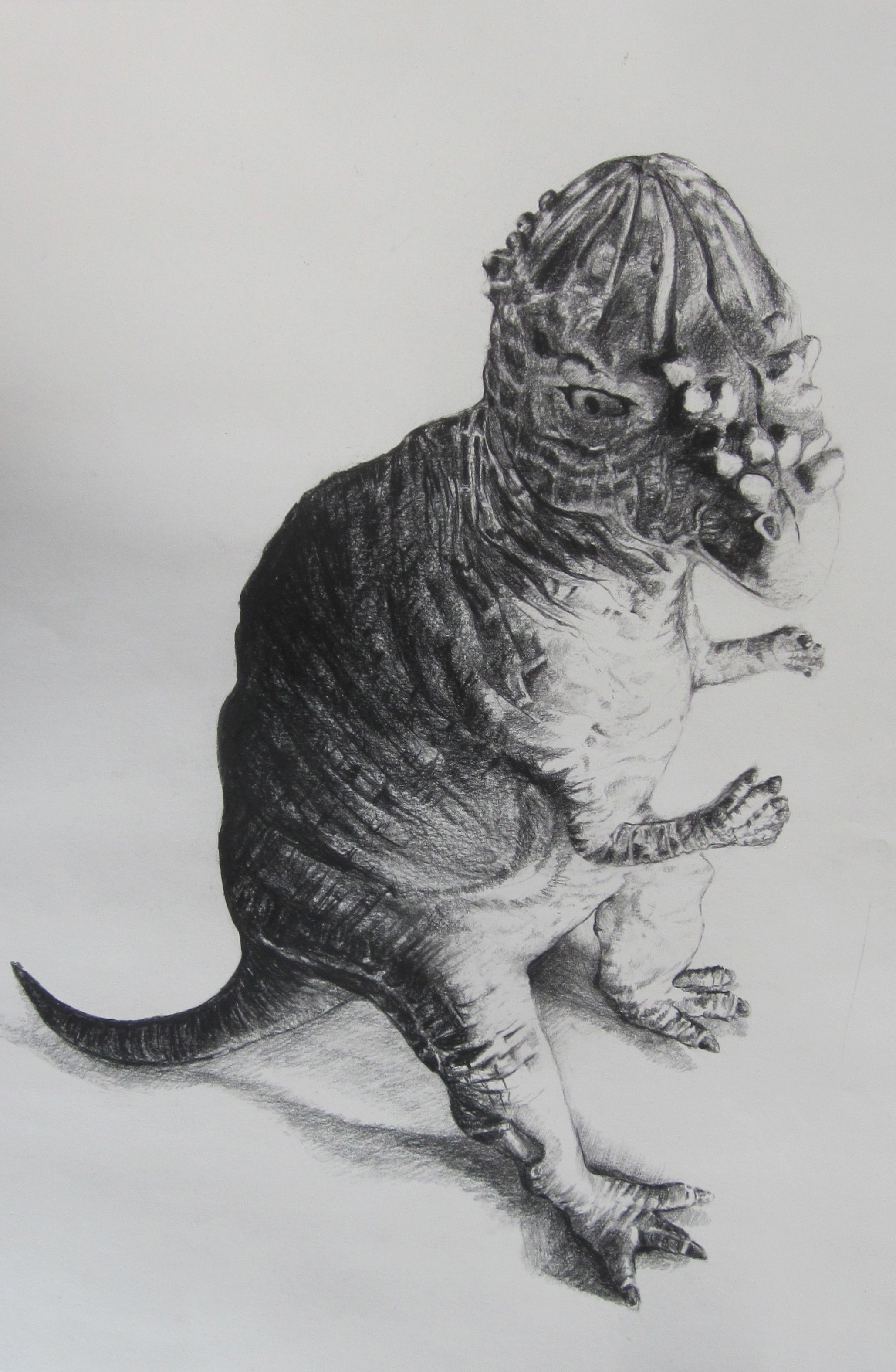 Studio Art at College of San Mateo - Student Work Gallery