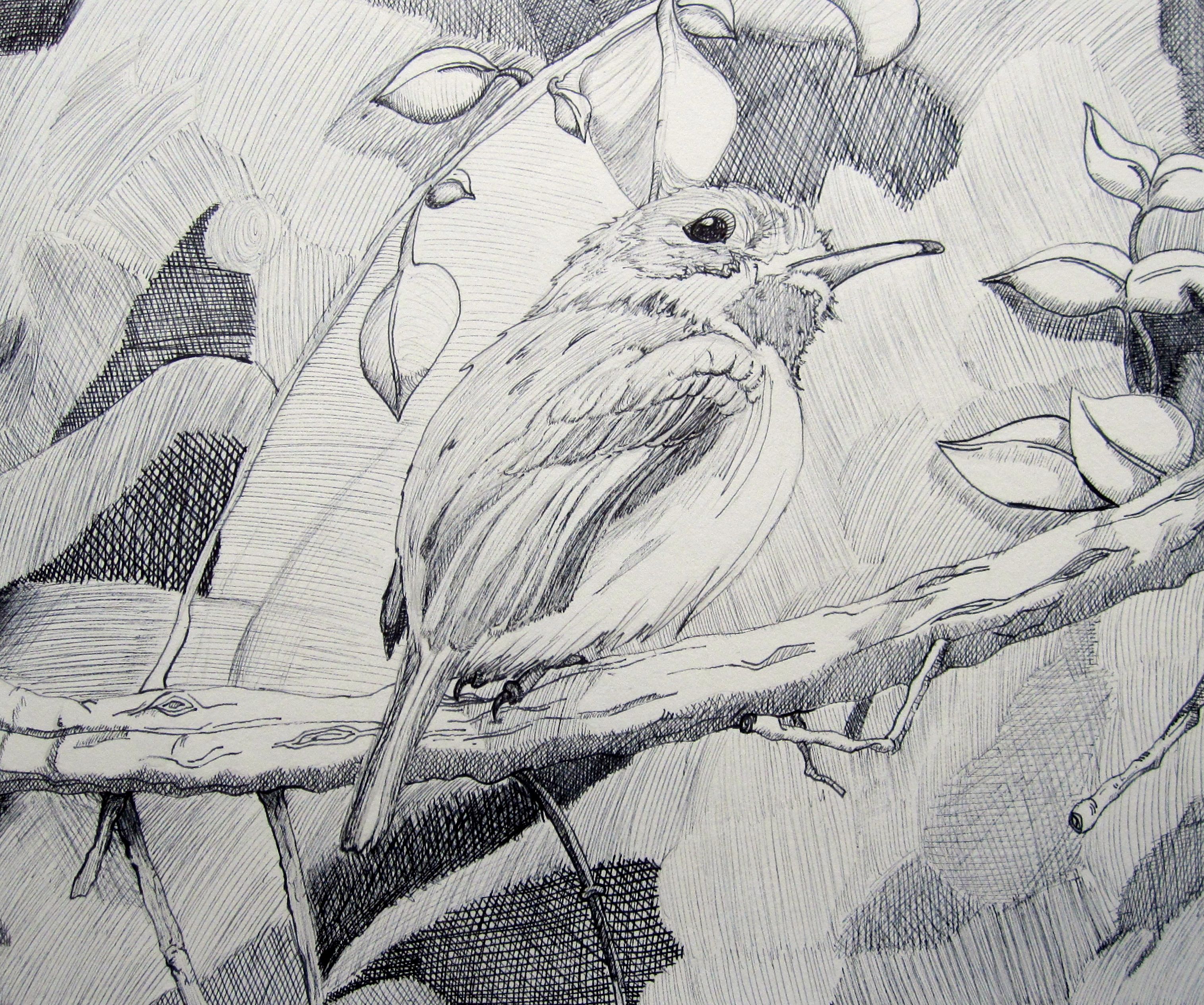 Studio Art at College of San Mateo - Student Work Gallery