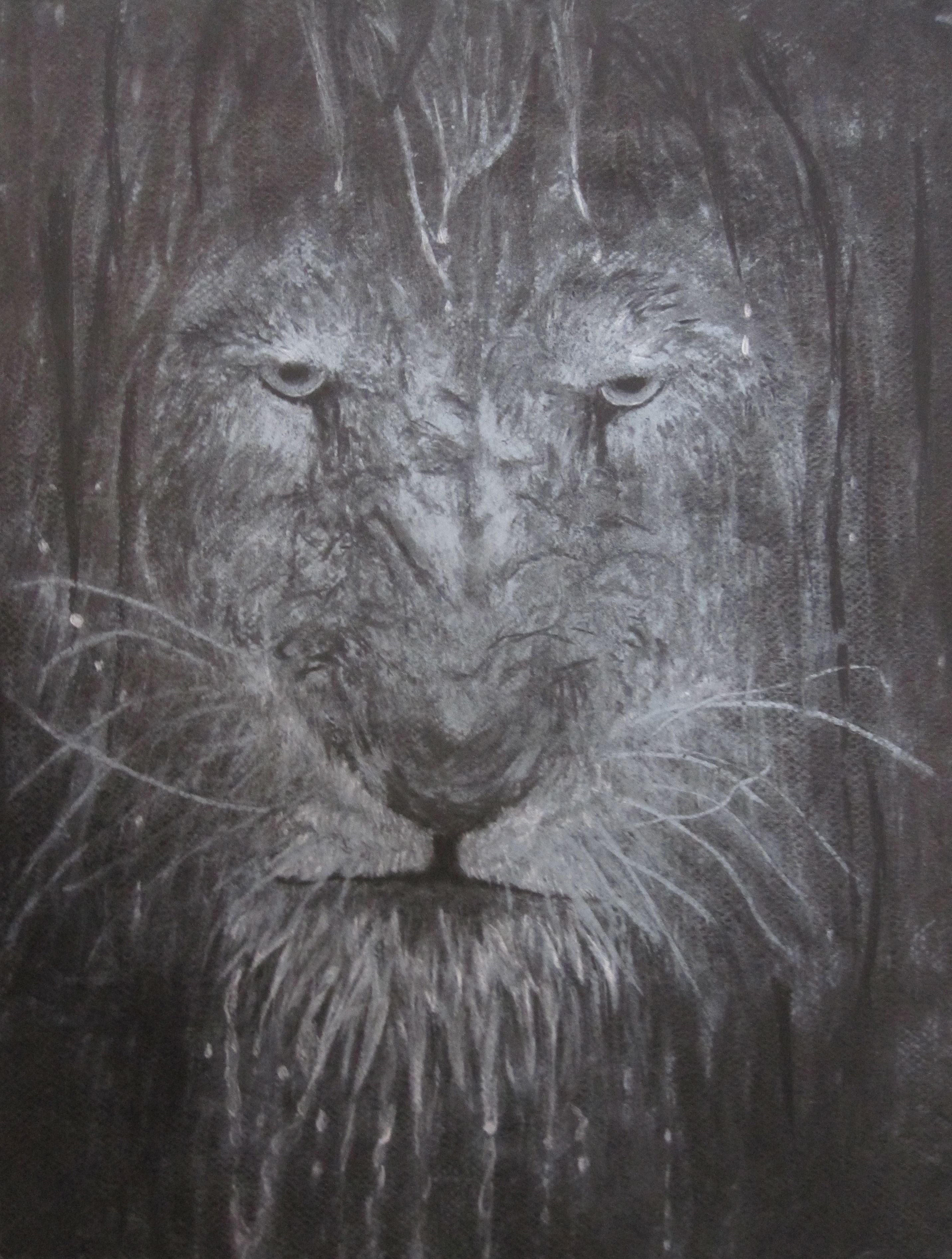 Studio Art at College of San Mateo - Student Work Gallery